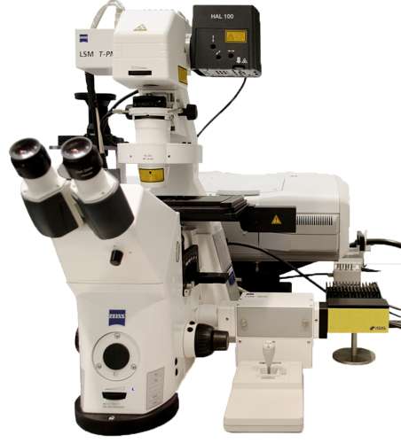 LSM 710, LSM 770, LSM 880, & LSM 980 | Zeiss | ISS